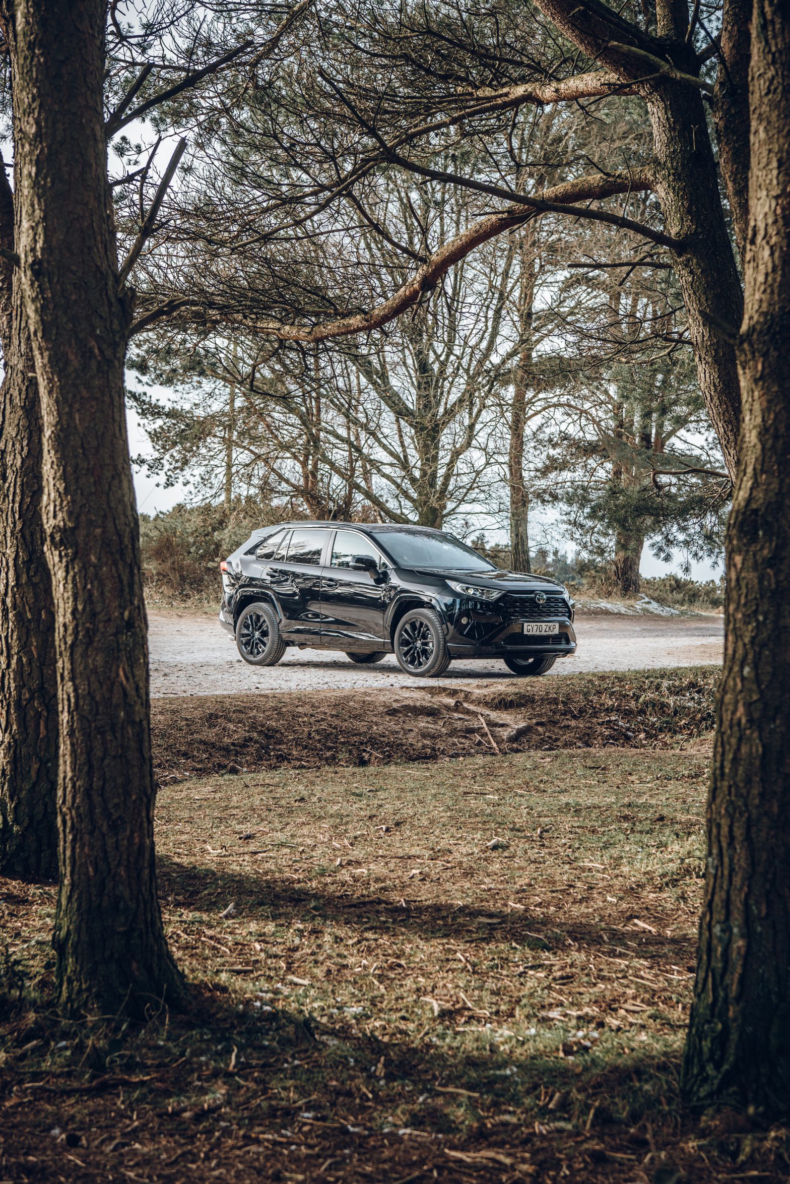 Toyota Previews New Models for 2022 - Toyota Media Site